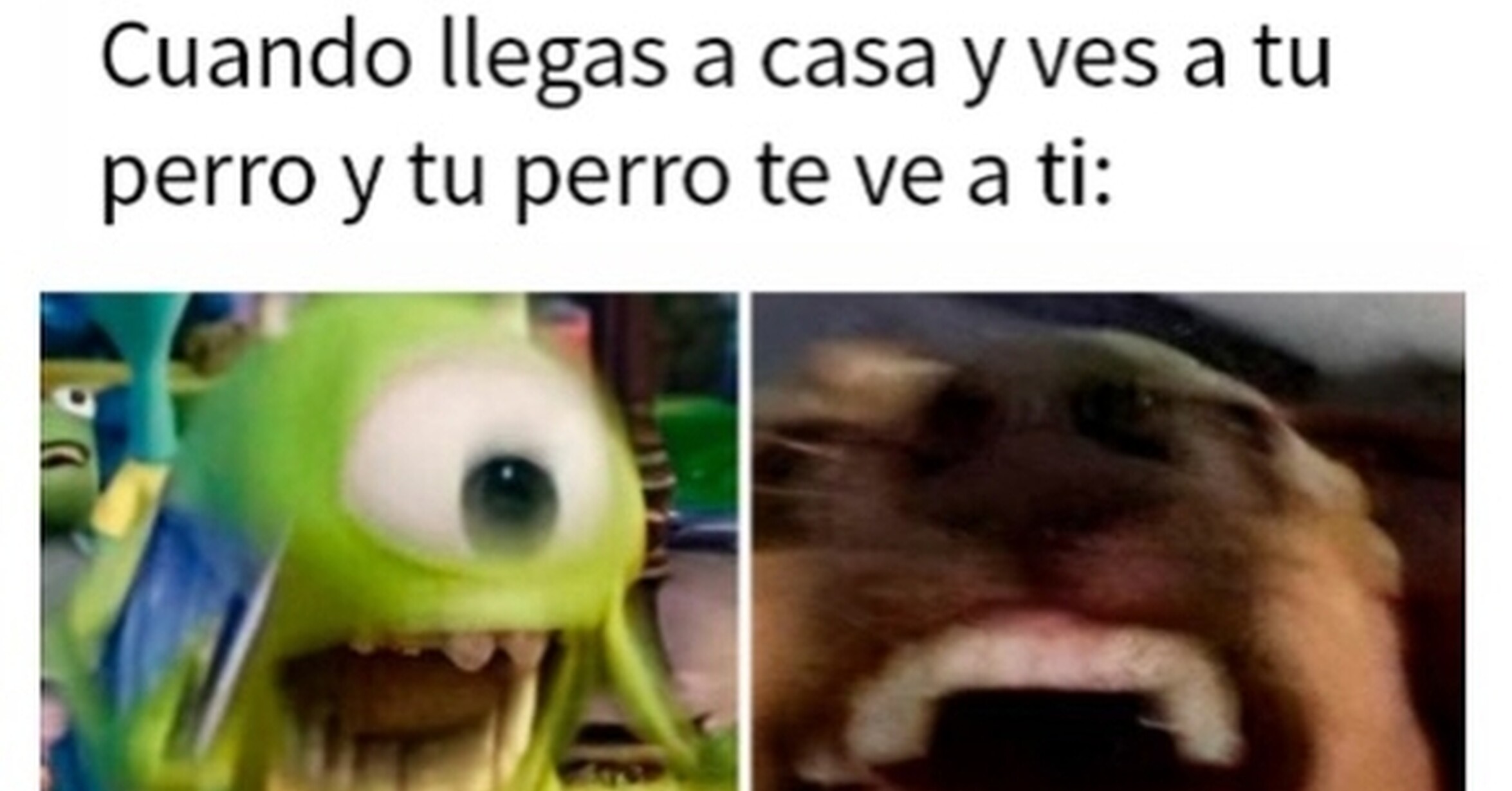 ¡Cuánta razón! / Memes tan divertidos como acertados