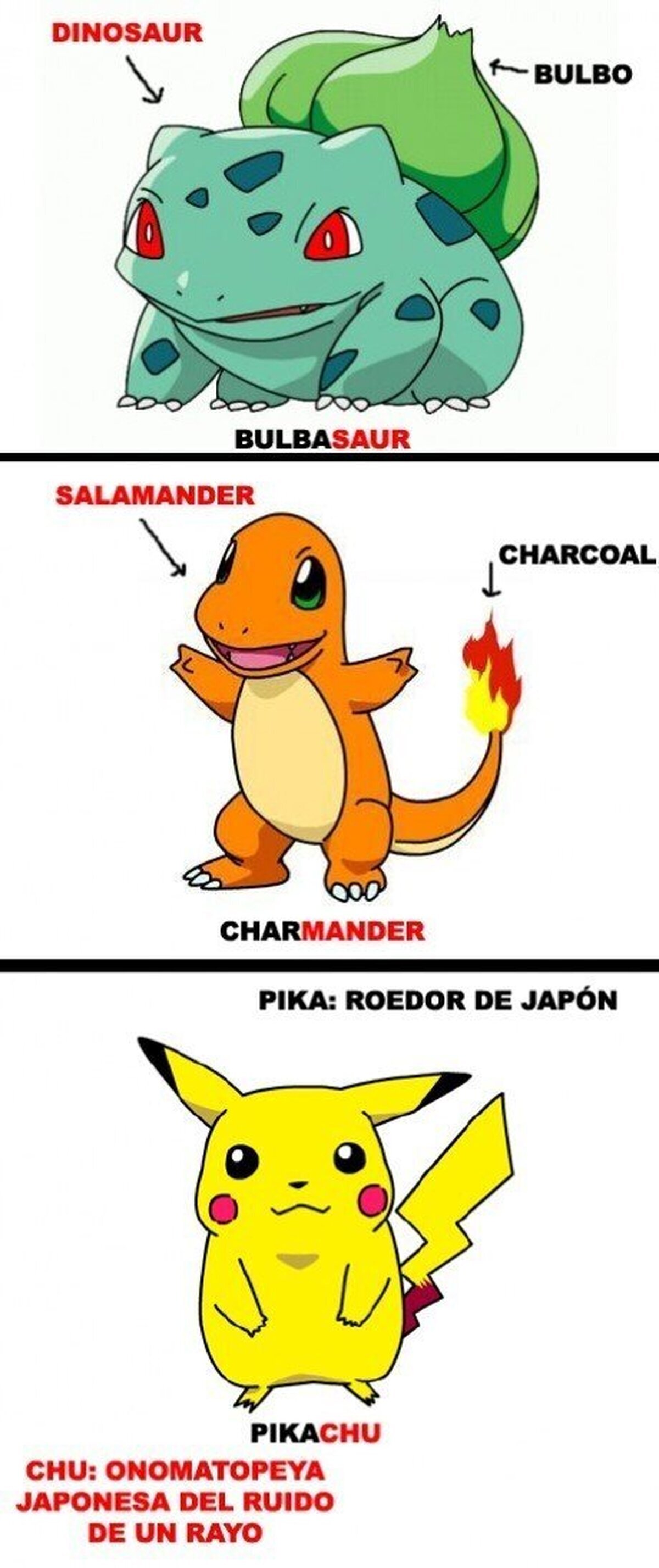 NO SÓLO SQUIRTLE - Otros amigos Pokémon también tienen su significado