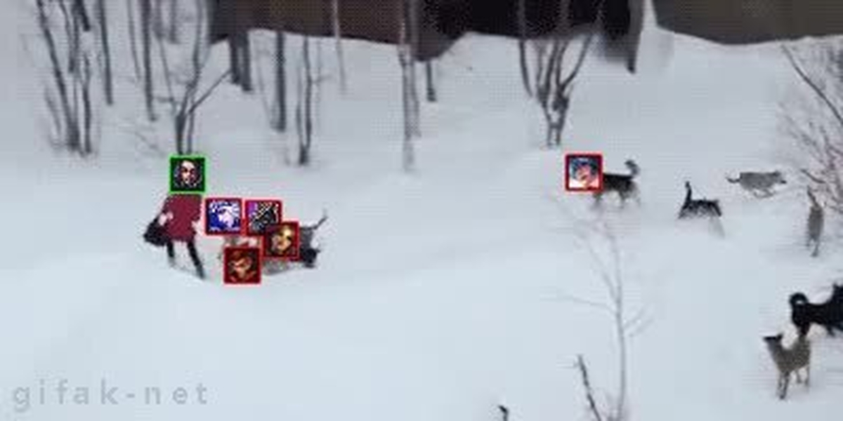 GIF: ¡Es la hora de los críticos!