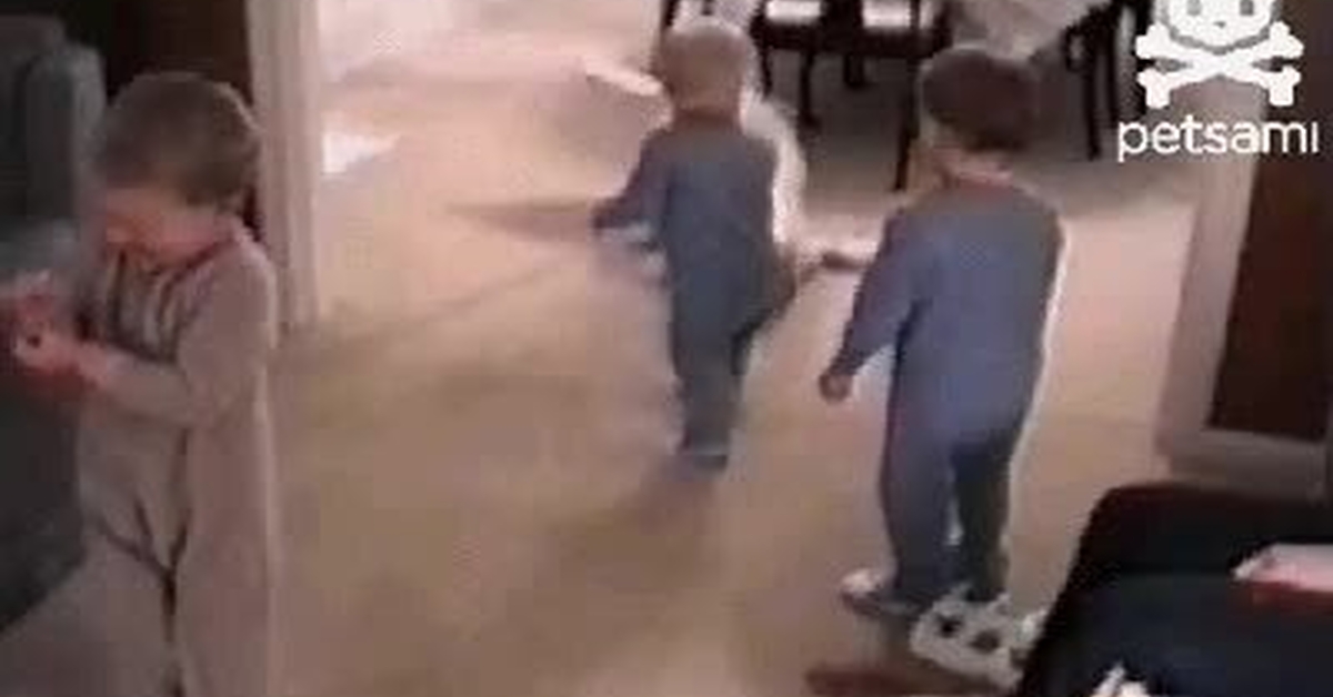 GIF: First blood! Double kill! Triple kill!