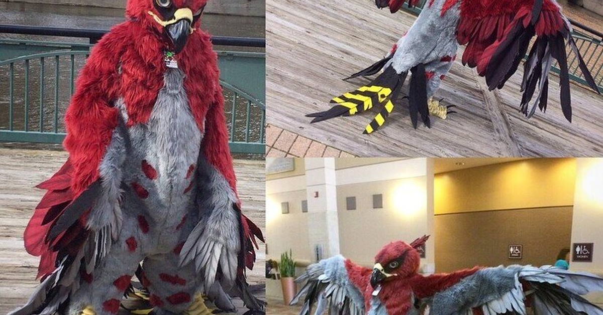 La forma más realista de usar Brave Bird.