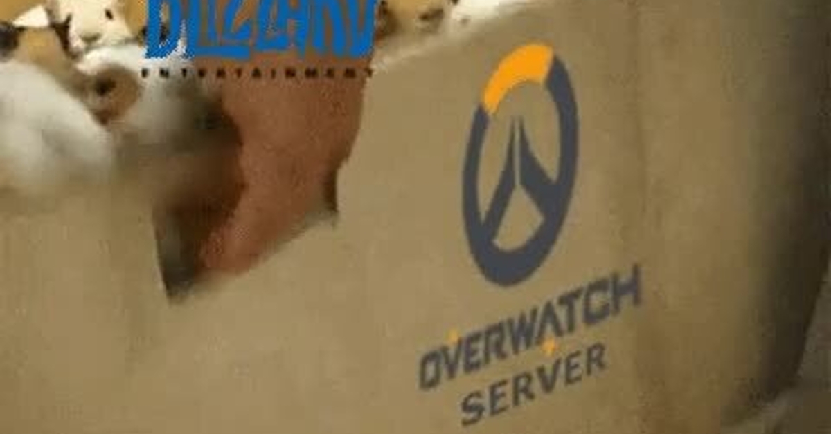 GIF: El dia que abrieron los servers de Overwatch