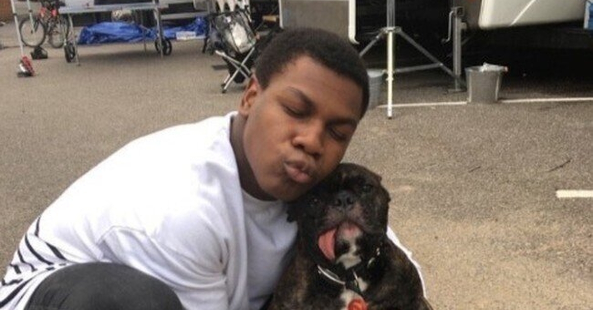 El perro más envidiado por todos los fans de Star Wars