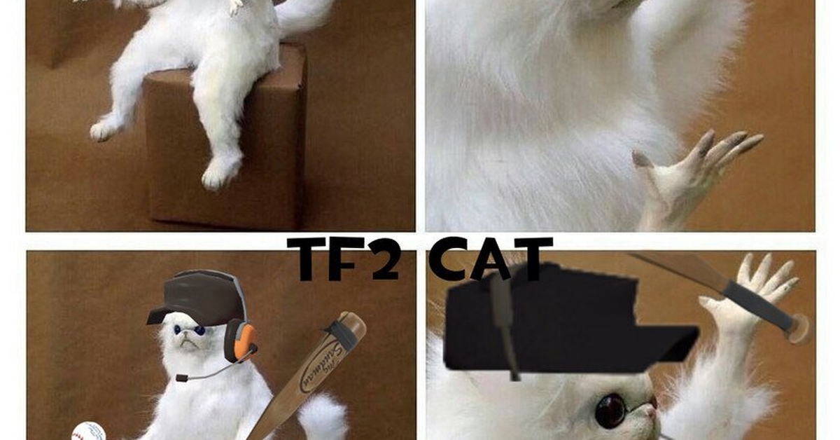 TF2 Cat