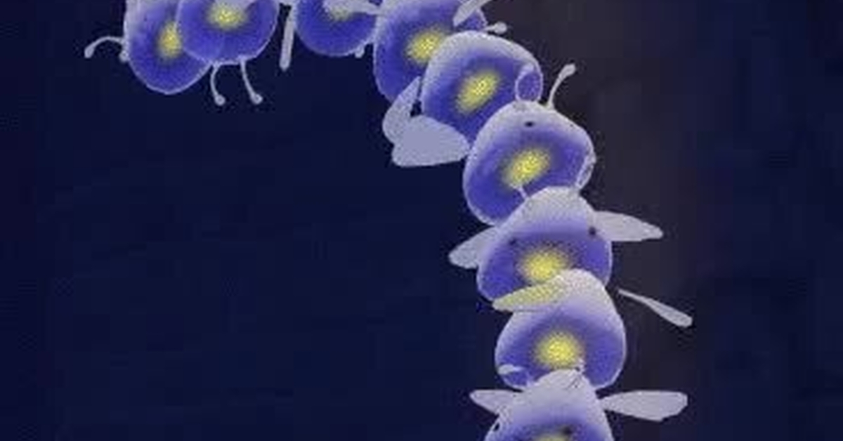 GIF: Adiós granjero, nuestro planeta nos necesita.