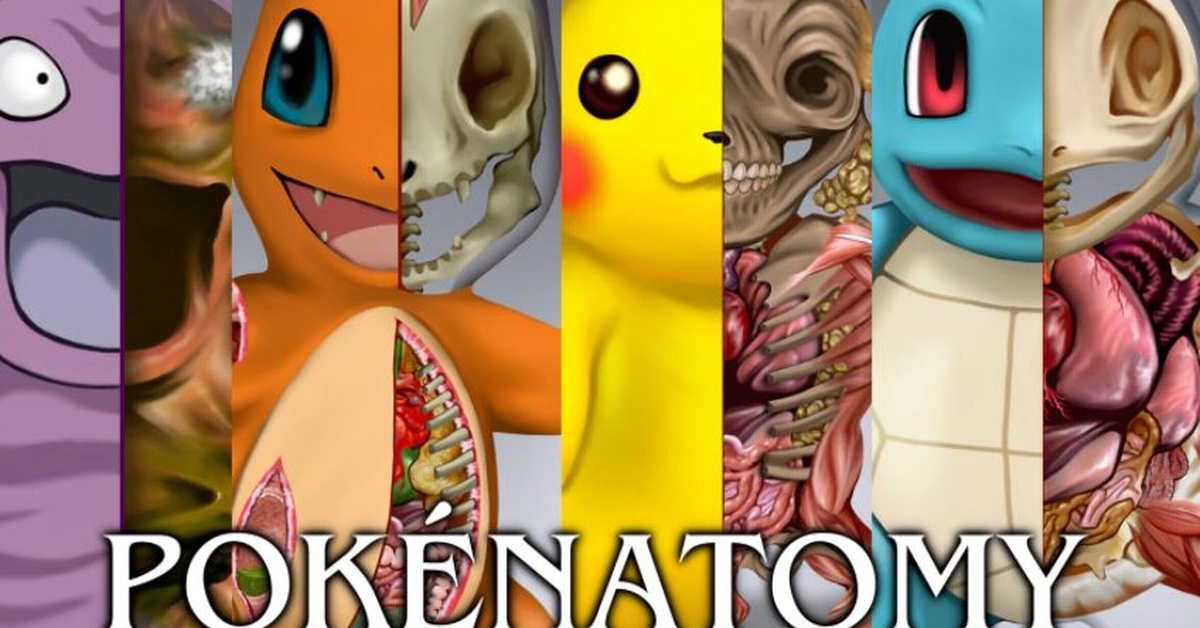 Así es la anatomía de los Pokémon