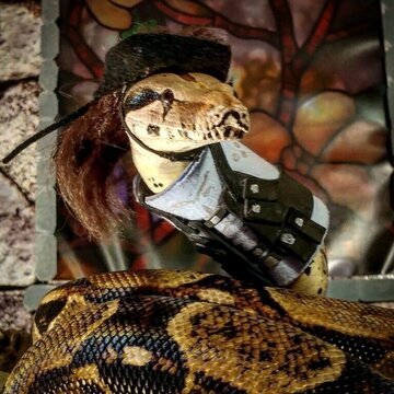 El mejor cosplay de Snake por un gran fan de Metal Gear