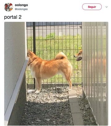 Así sería Portal 2 en la vida real