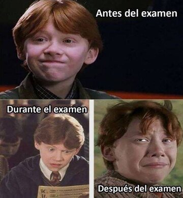 Top 15 memes de estudiando