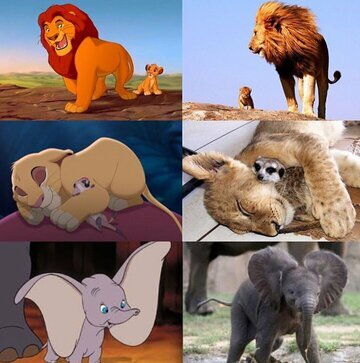 El increíble detalle de las adaptaciones de Disney