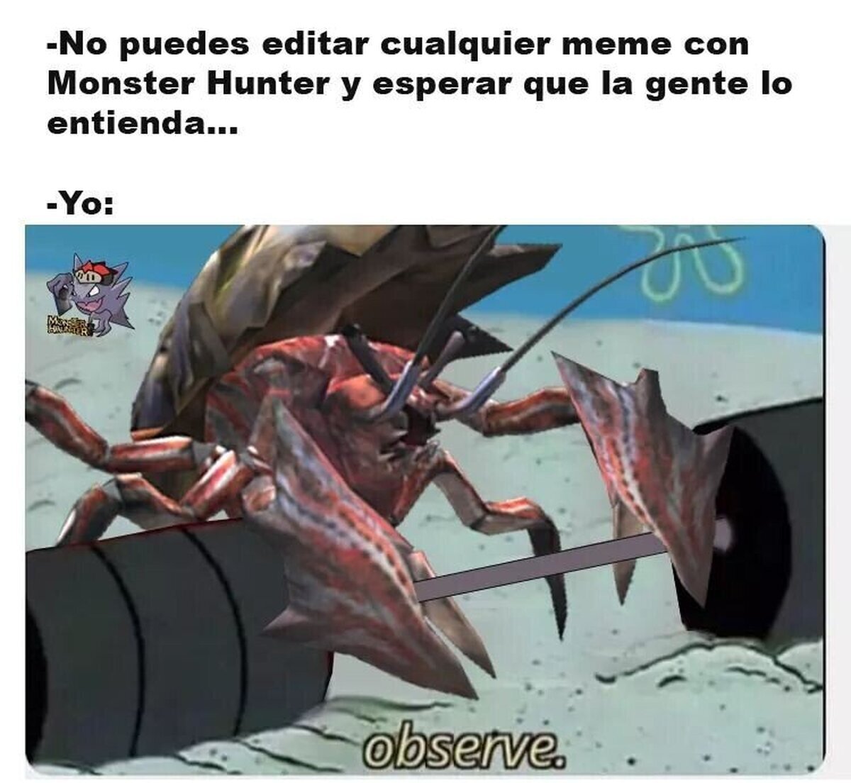 Nunca entenderé los memes de monster hunter