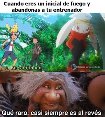 Top 50 memes de conejo