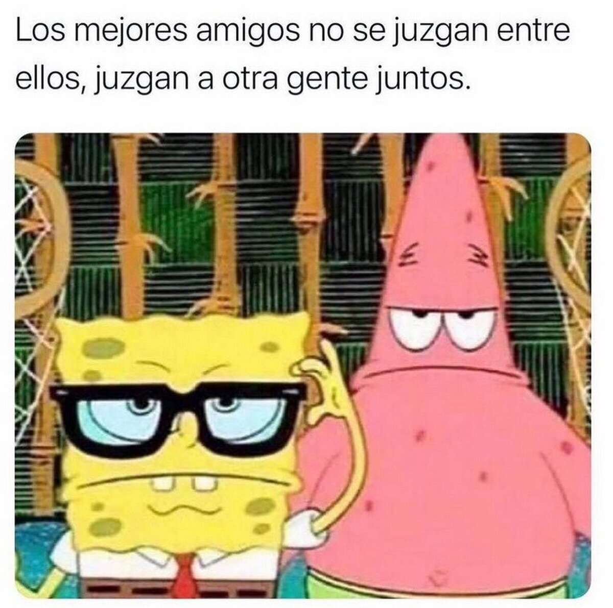 Meme De Amistad Verdadera Llegó El Momento De Buscar Nuevos Amigos