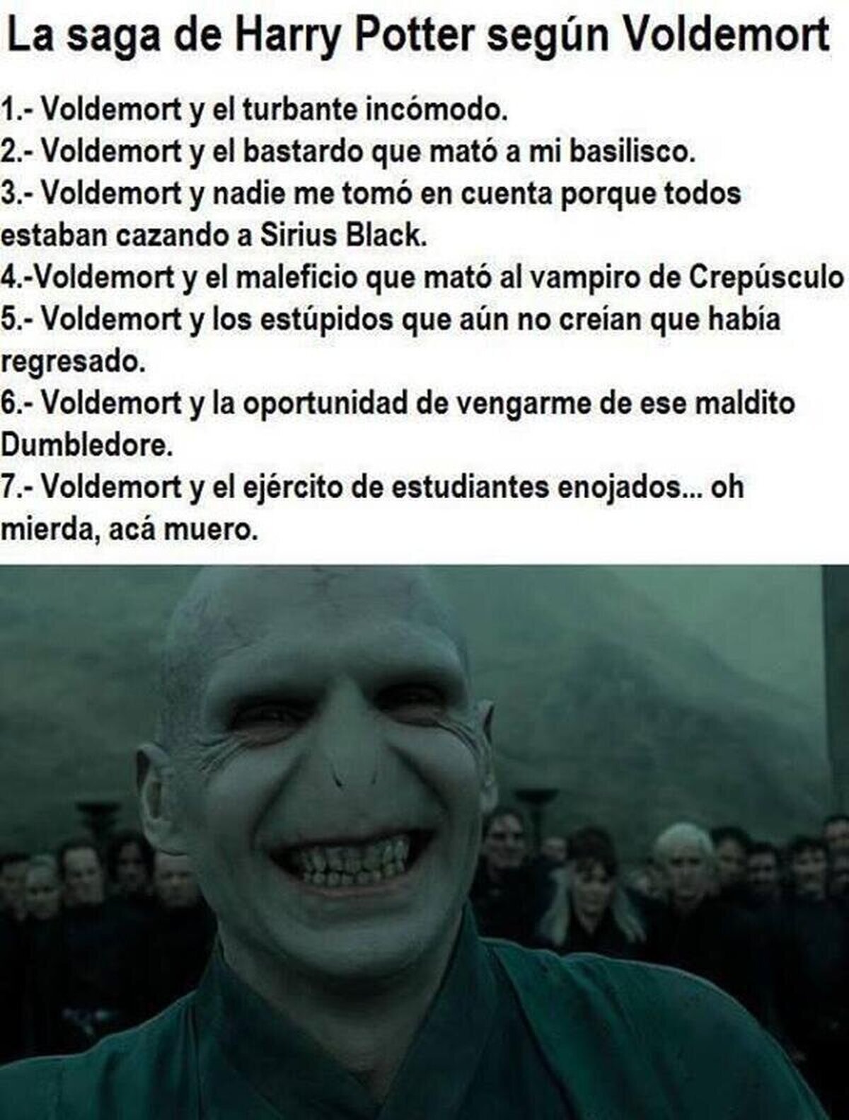 Meme Di Harry Potter Voldemort