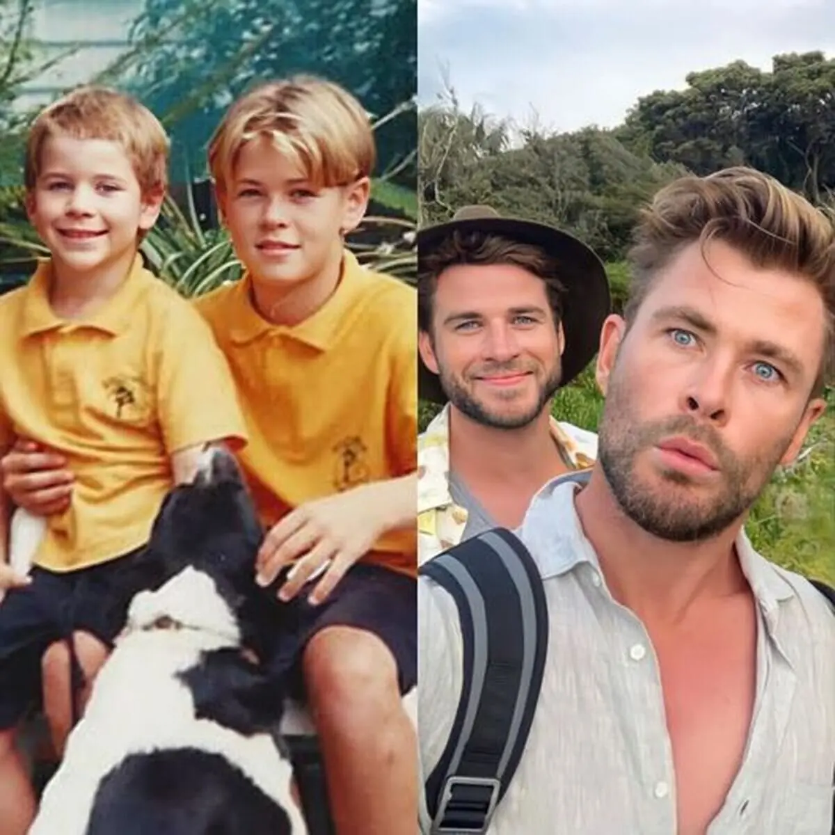 Hermano De Chris Hemsworth Chris Hemsworth Y Sus Hermanos Se Unen: