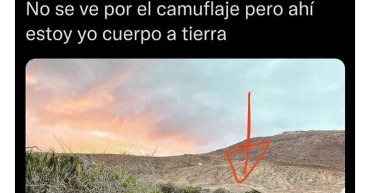 El buen camuflaje español