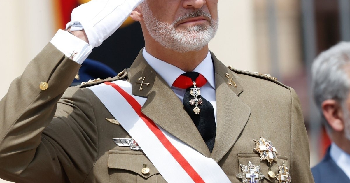 10 cosas que no sabías de Felipe VI, Rey de España