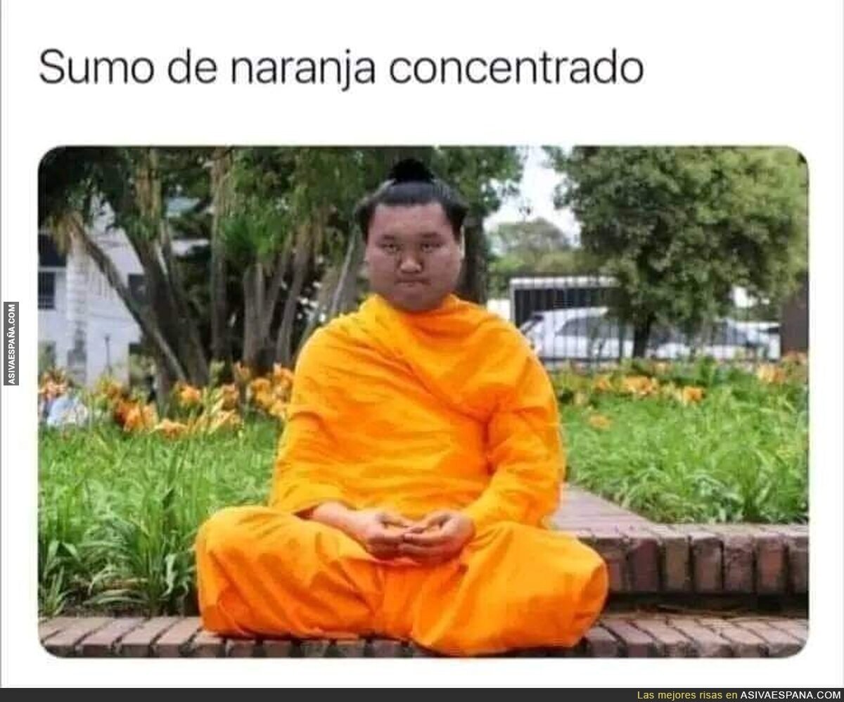 Top 2 memes de sumo