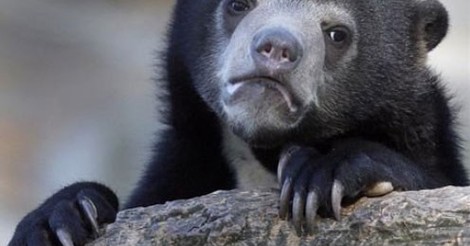 Cuánto cabrón / Cuando estoy aburrido