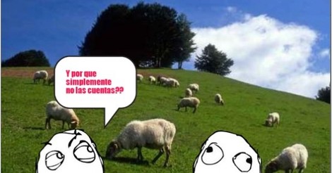 Memes Contar Ovejas