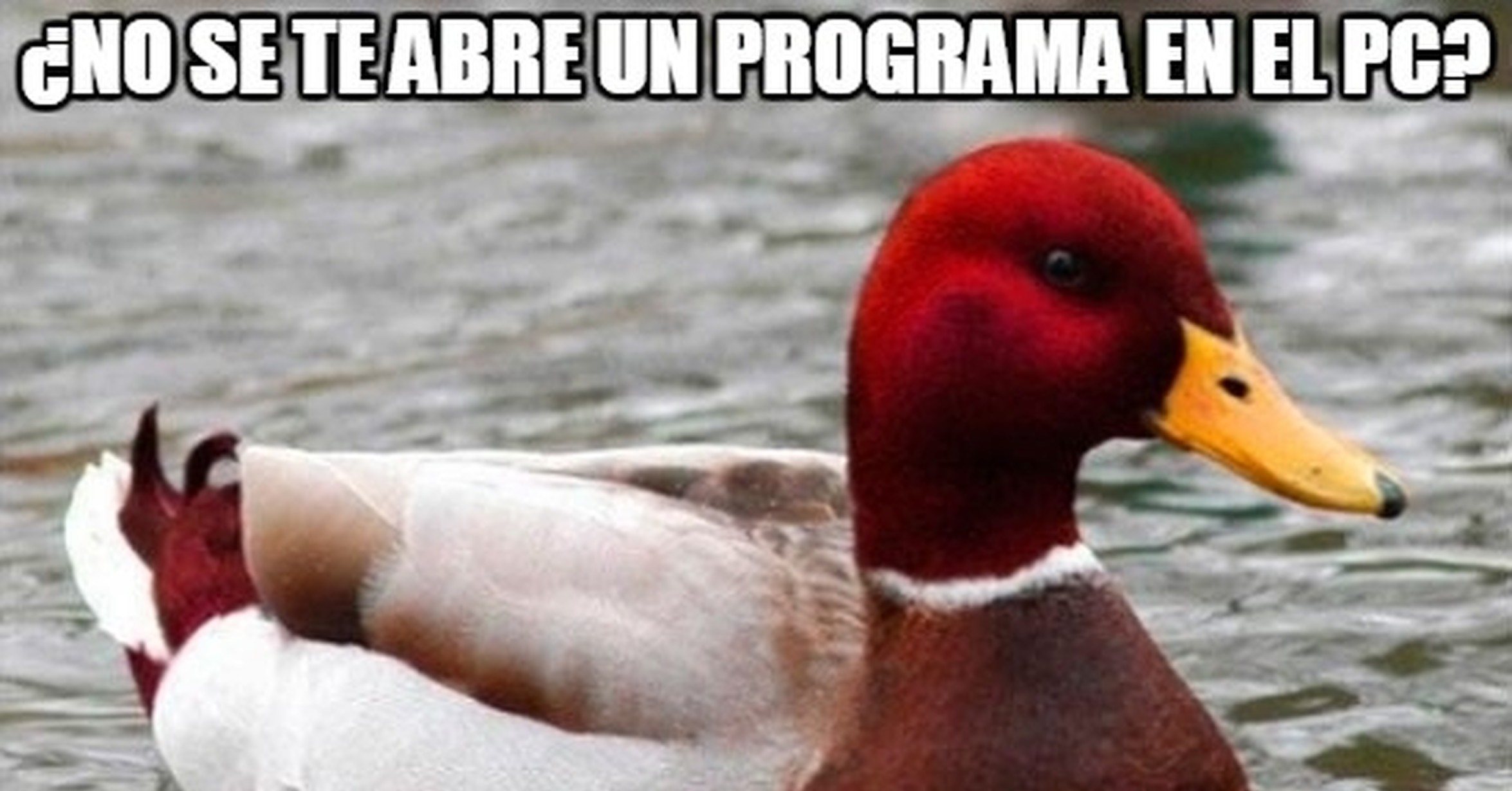 Cuánto cabrón / Este pato sabe lo que Windows necesita para funcionar bien