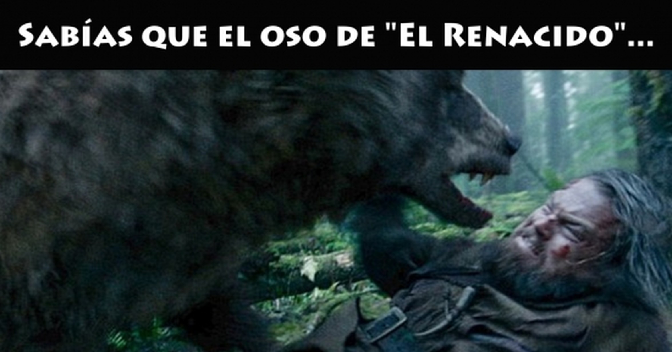 Cuánto cabrón / El Oso del Renacido triunfa en Hollywood