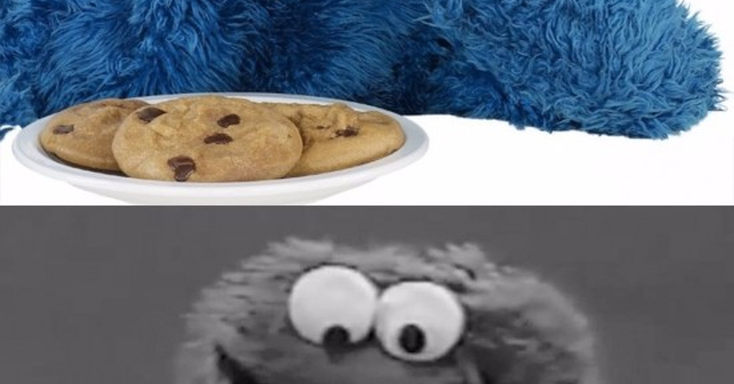 Meme Del Monstruo De Las Galletas 99 Galletas Muñeco De Peluche