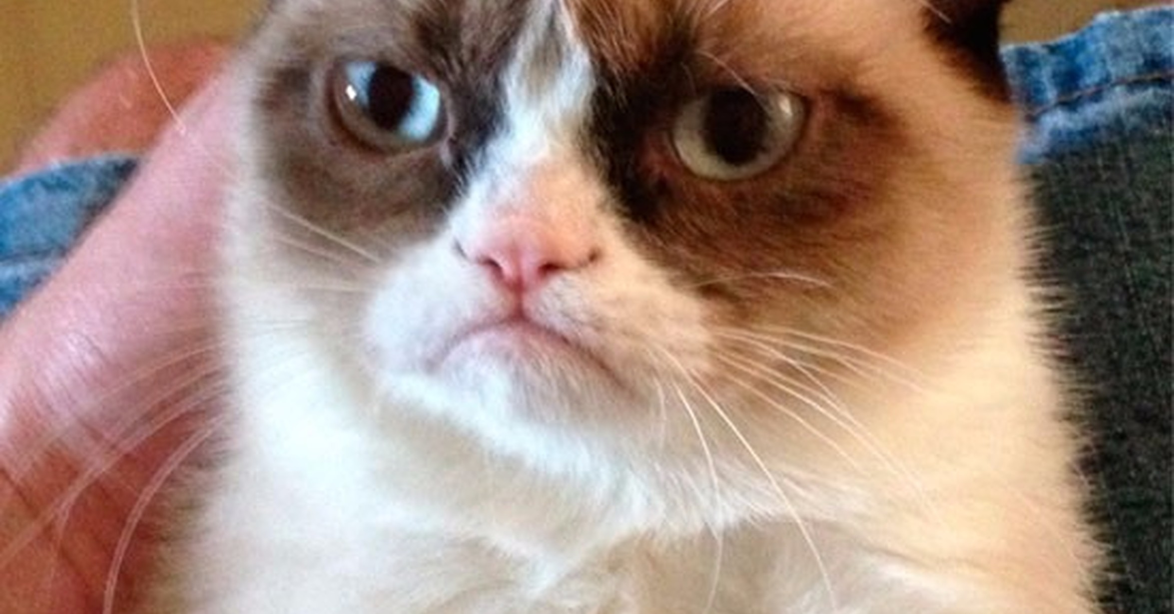 Cuánto cabrón / Imagina si es feo...