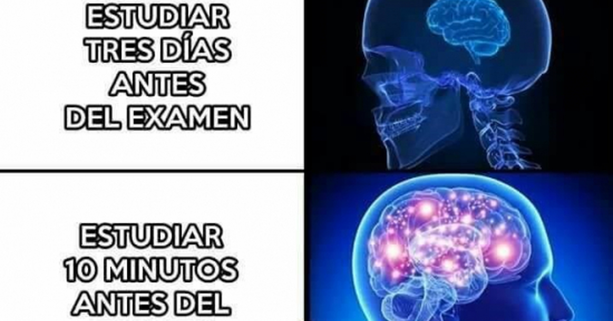Estudiar Examen Memes