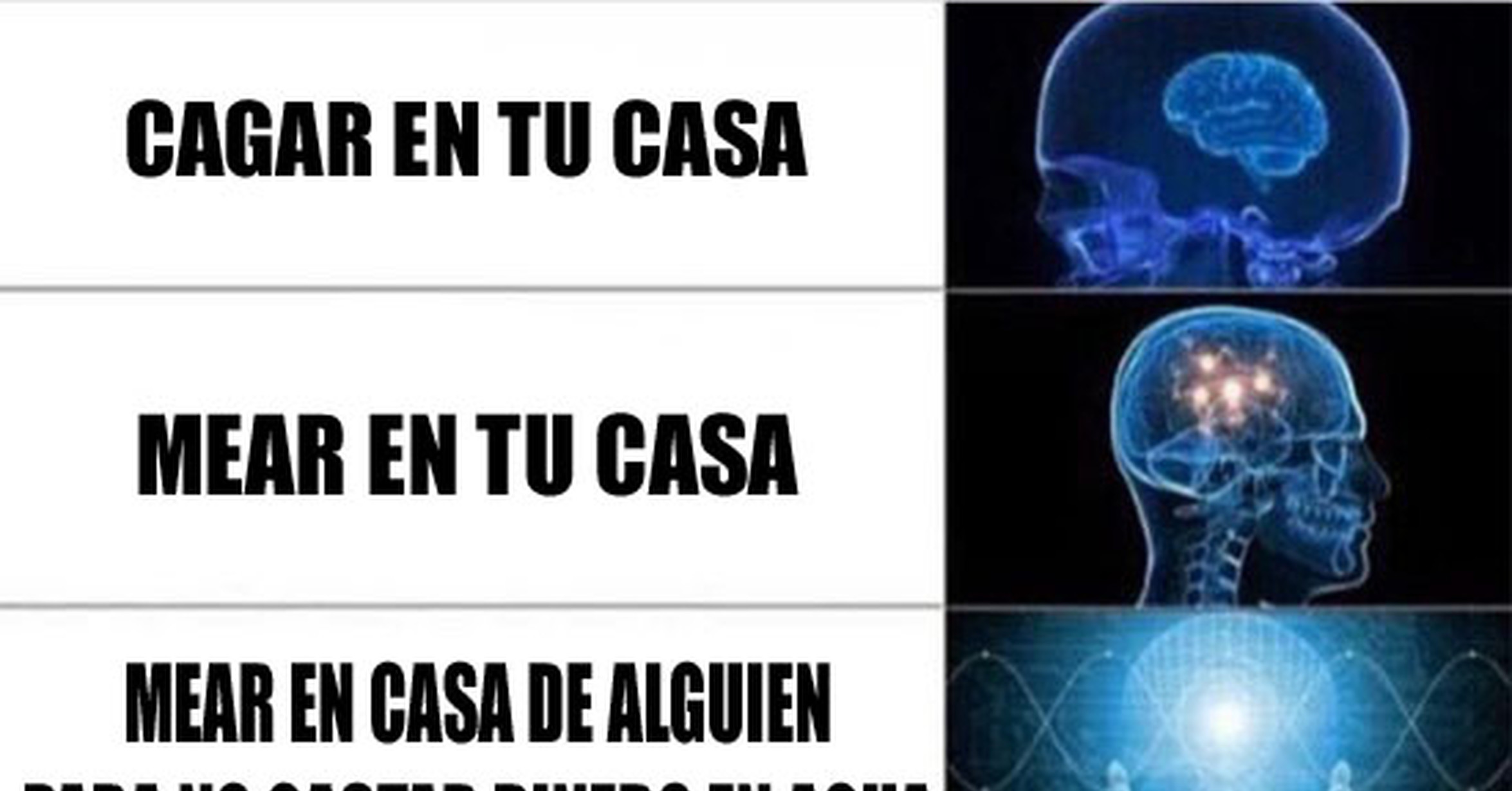 Cuánto cabrón / El saber es poder