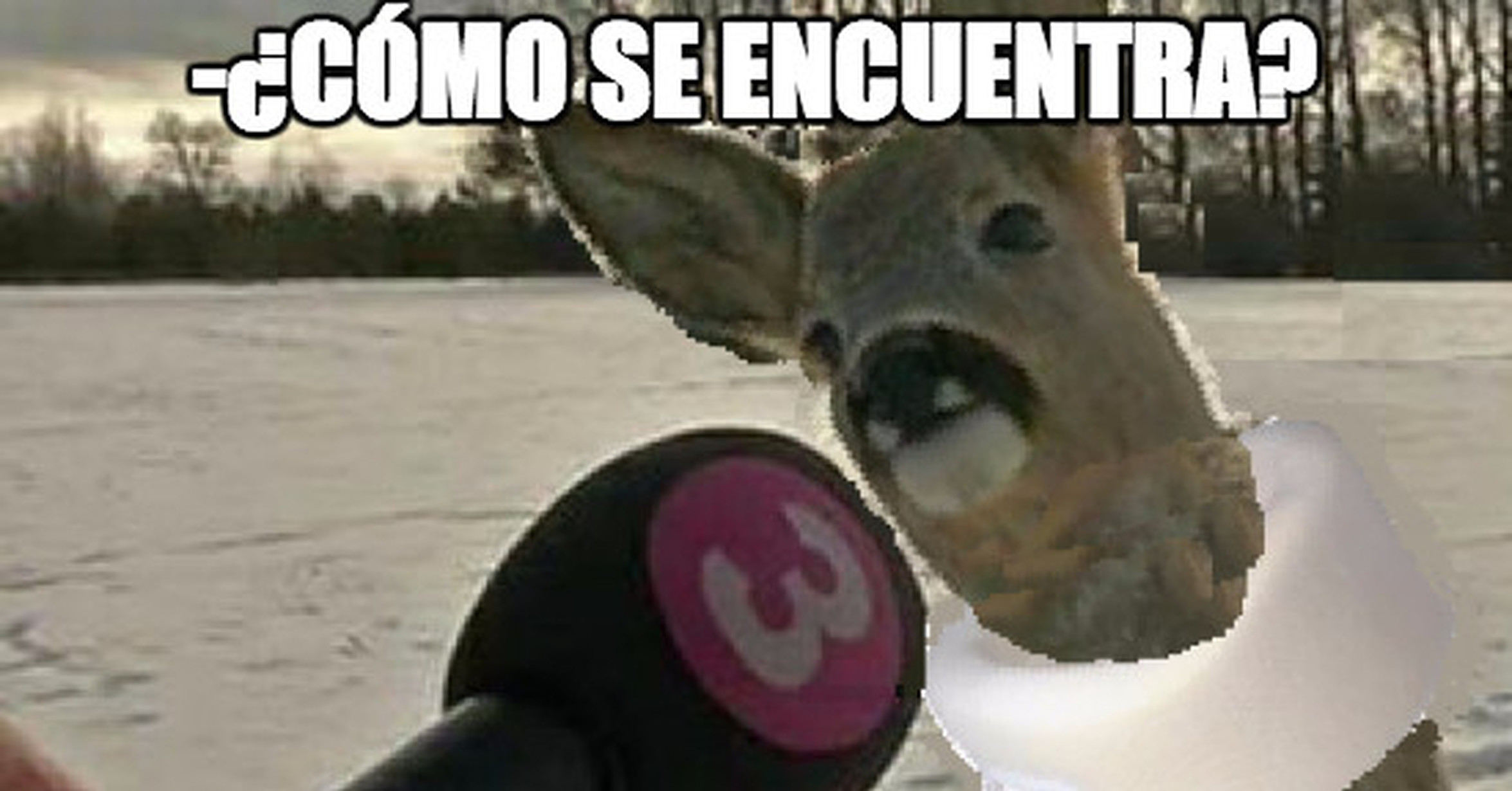 Cuánto cabrón / Ciervo en problemas