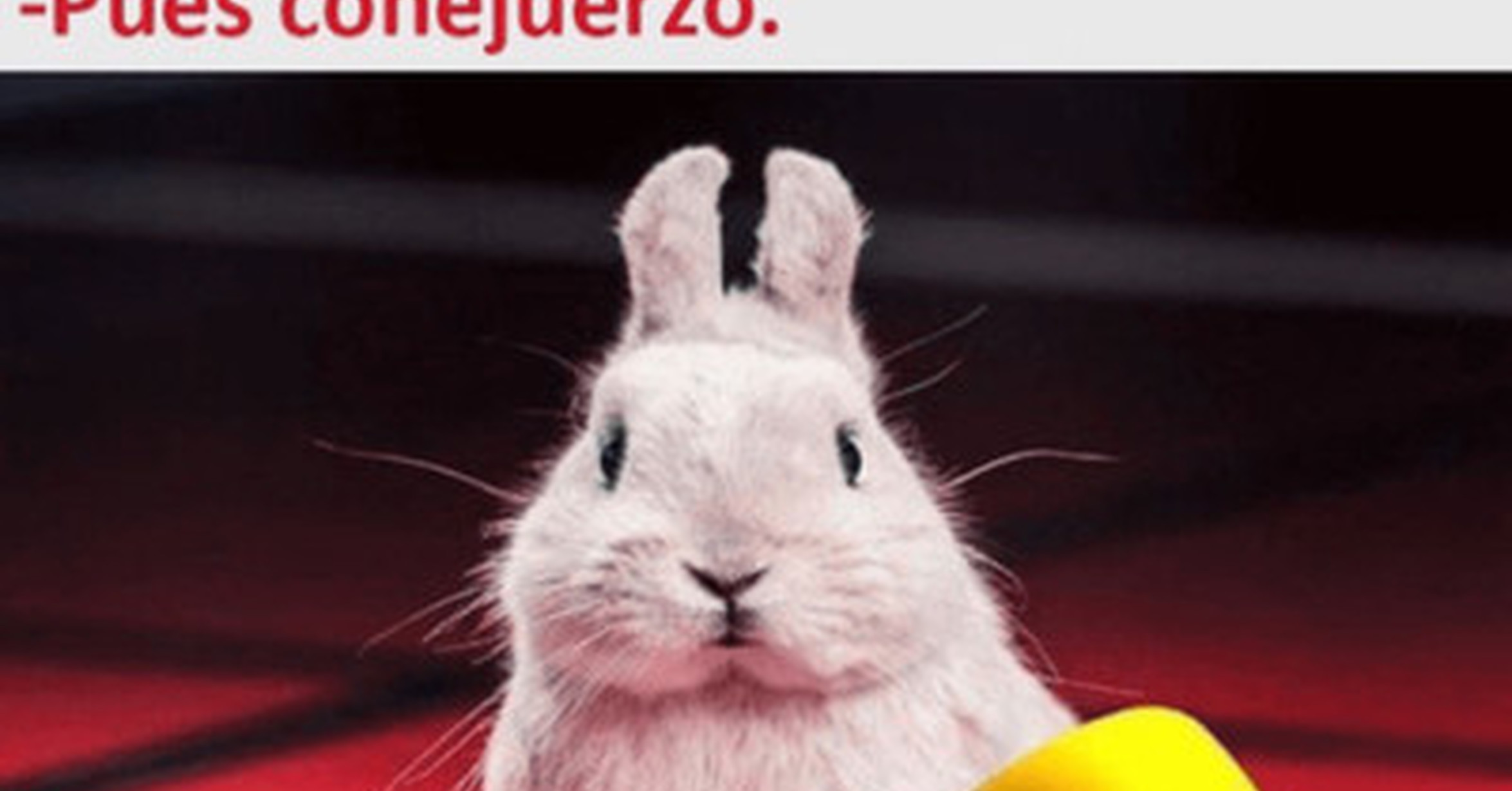 Cuánto cabrón / El reino animal nos puede dar grandes enseñanzas