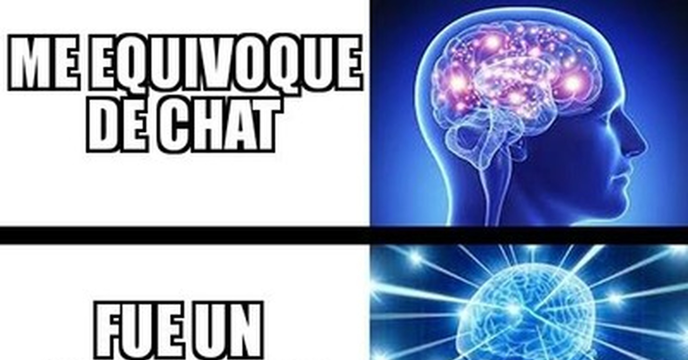 Cuánto cabrón / Formas de equivocarse de chat
