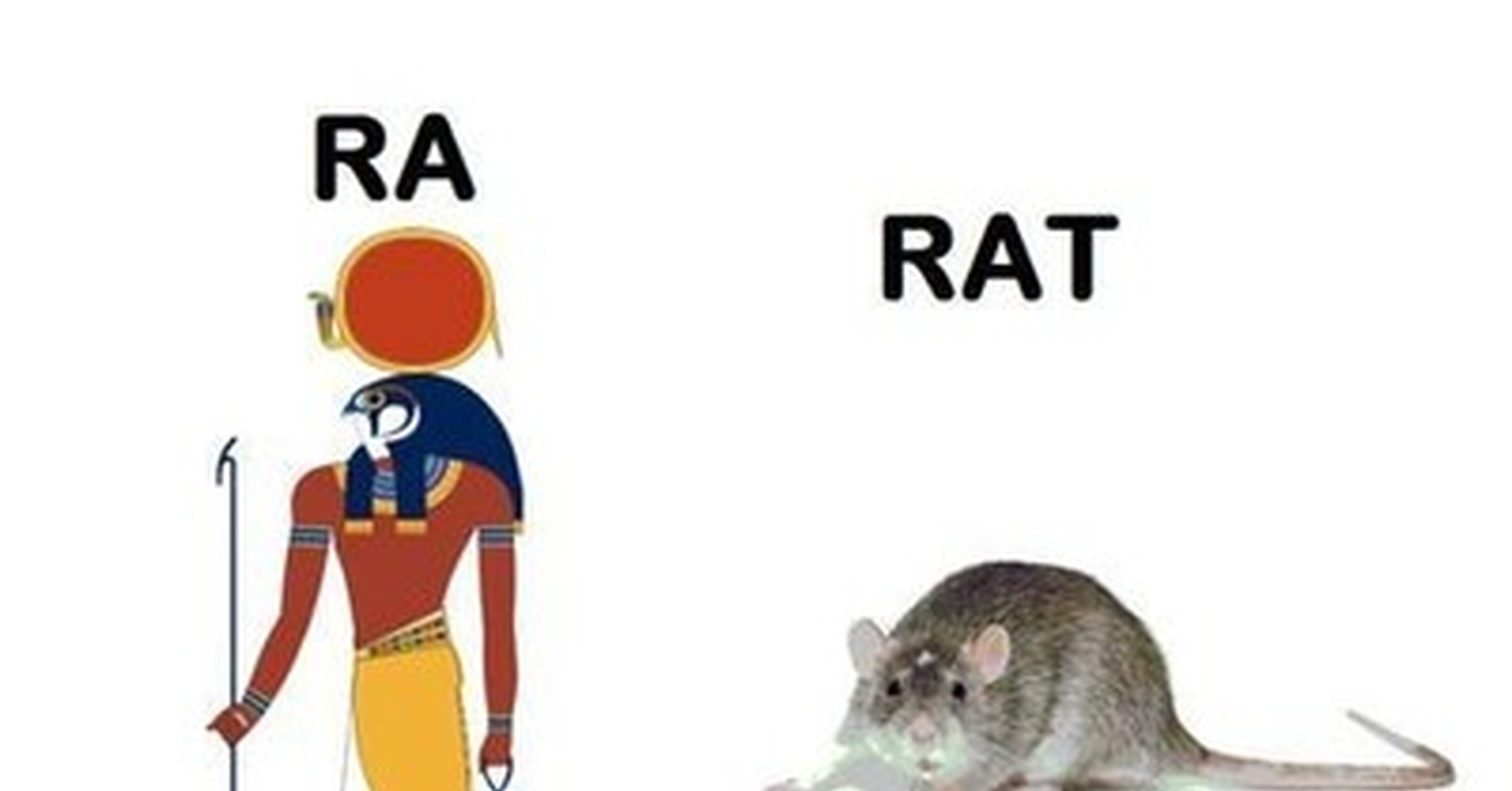 Cuánto cabrón / Ratatatatata