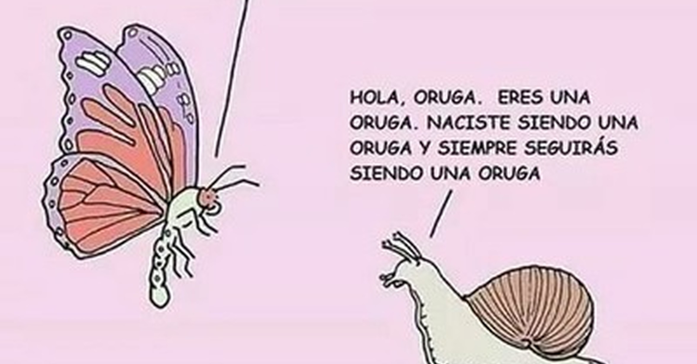 Cuánto cabrón / El mundo de los insectos también está sensible