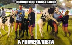 Cuánto cabrón / Tengo dos perros, el otro se llama orthros