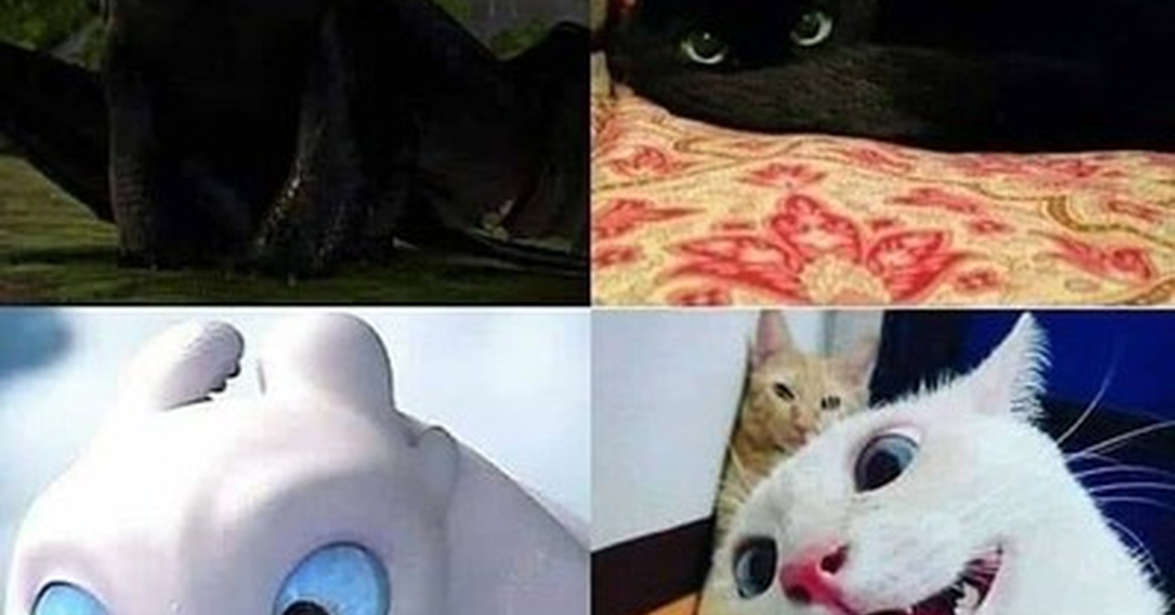 Cuánto cabrón / Desdentado y Light Fury en la vida real