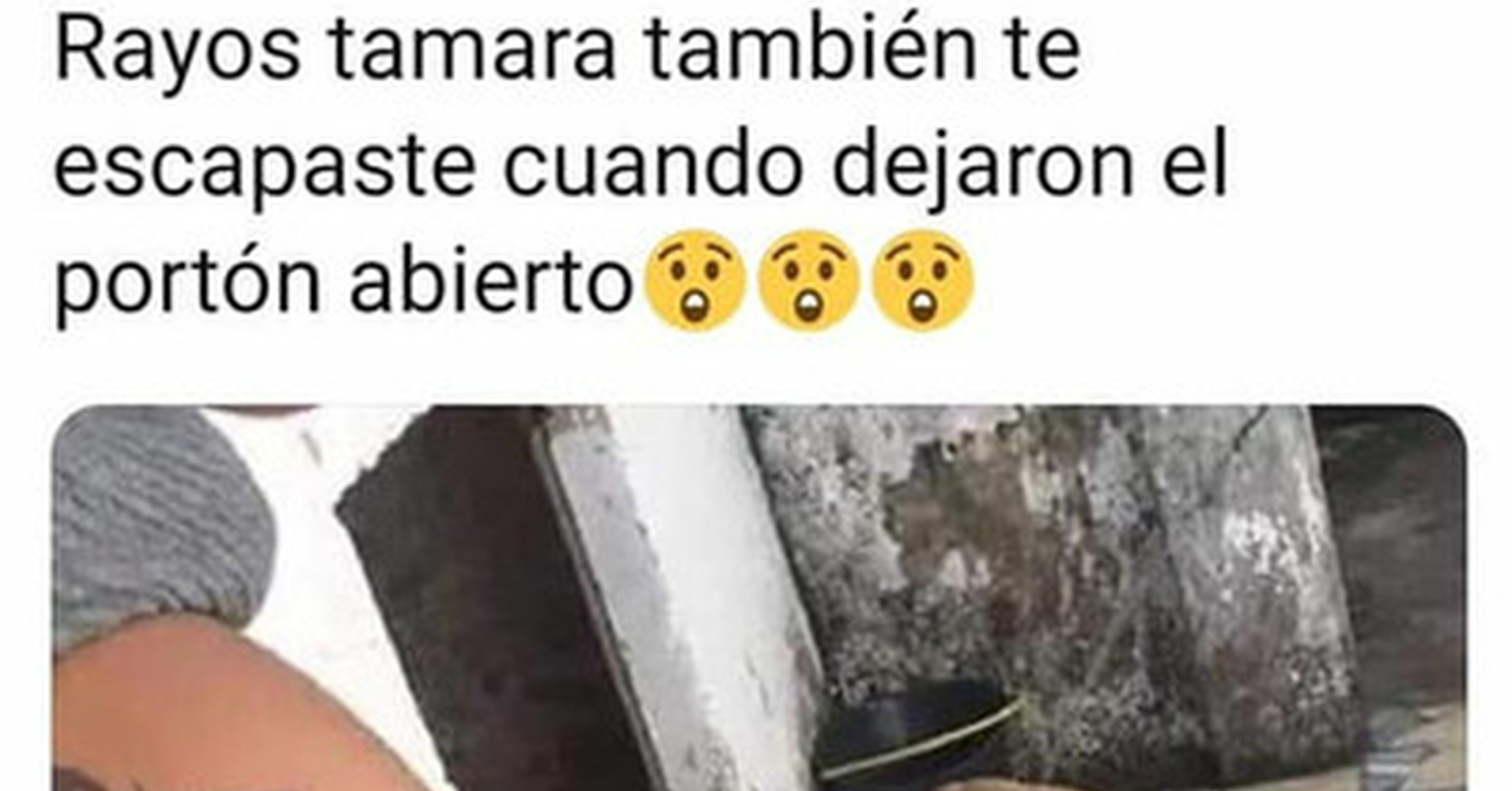 Cuánto cabrón / La culpa es del portón
