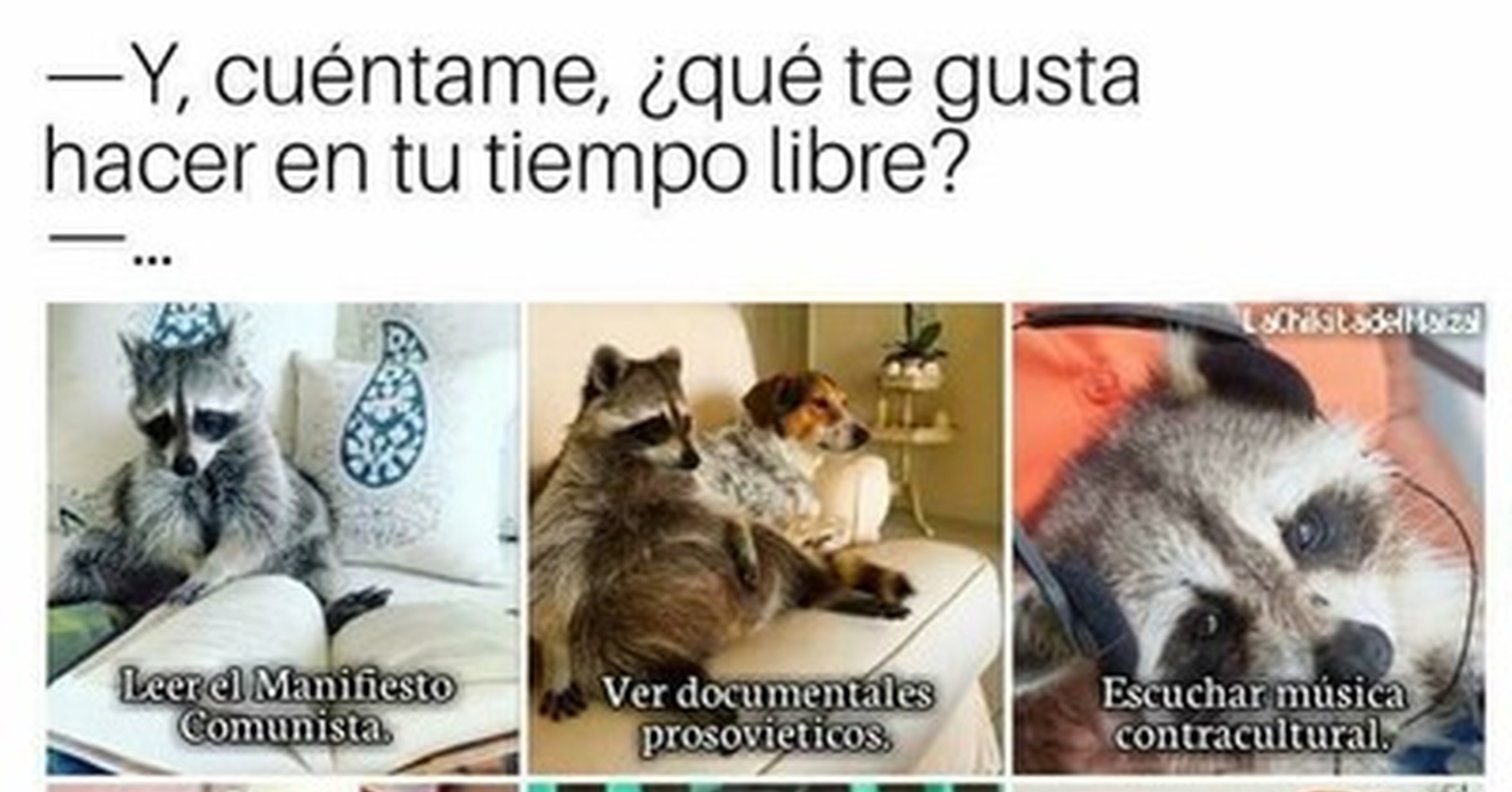 Pero sobre todo apapachar gatetes y perretes