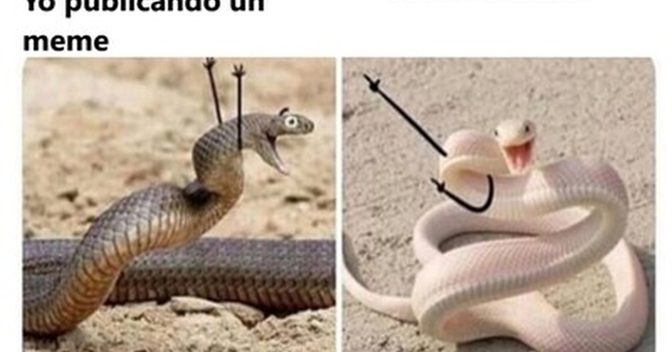 Memes De Serpientes Chivas Es Víctima De Los Memes Tras Ser Humillado
