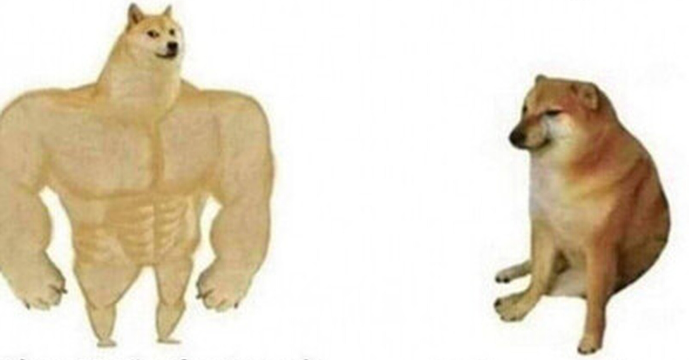 Cuánto cabrón / Cada vez hacen las cosas más débiles