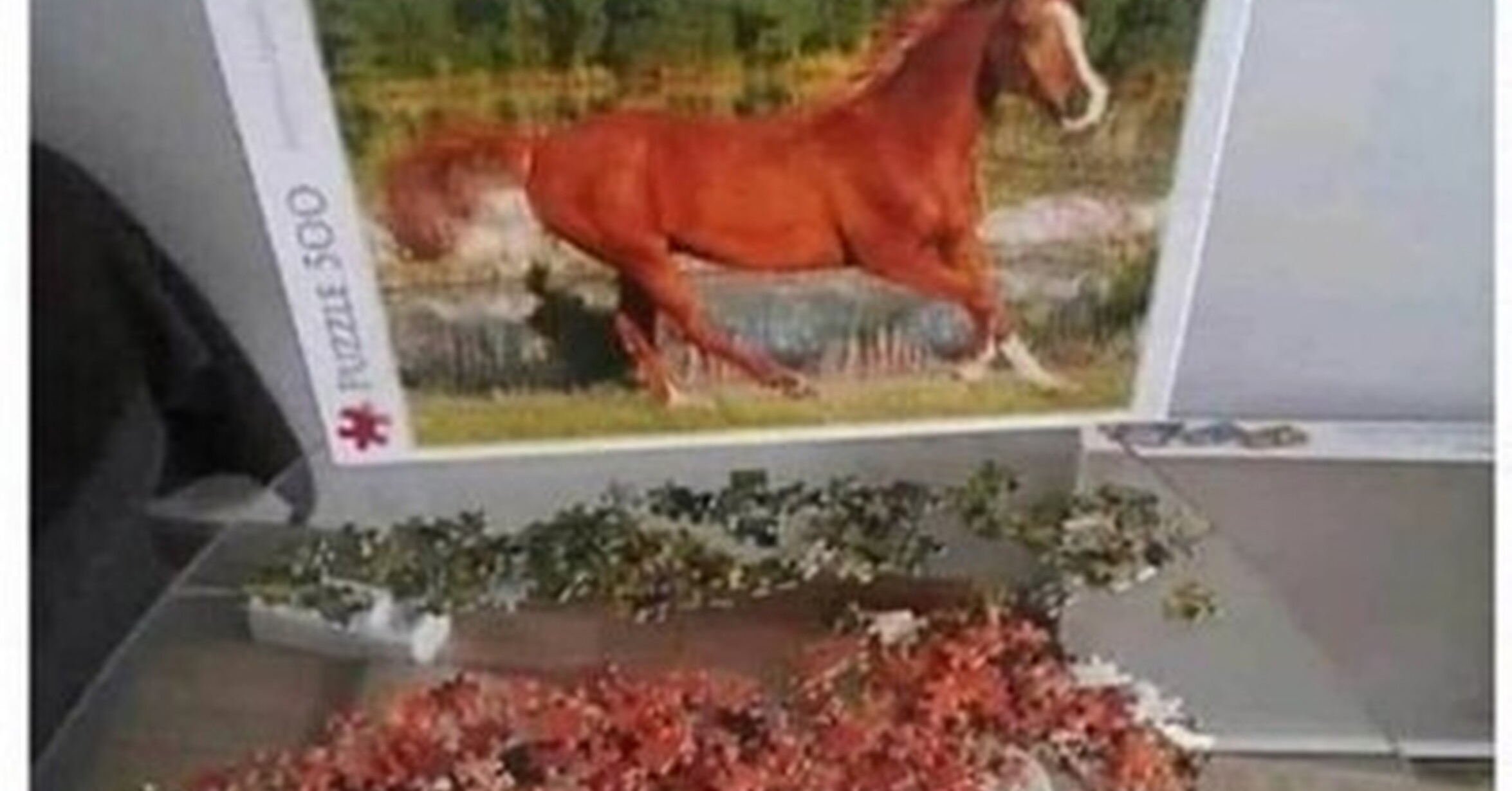 Cuánto cabrón / Pan comido