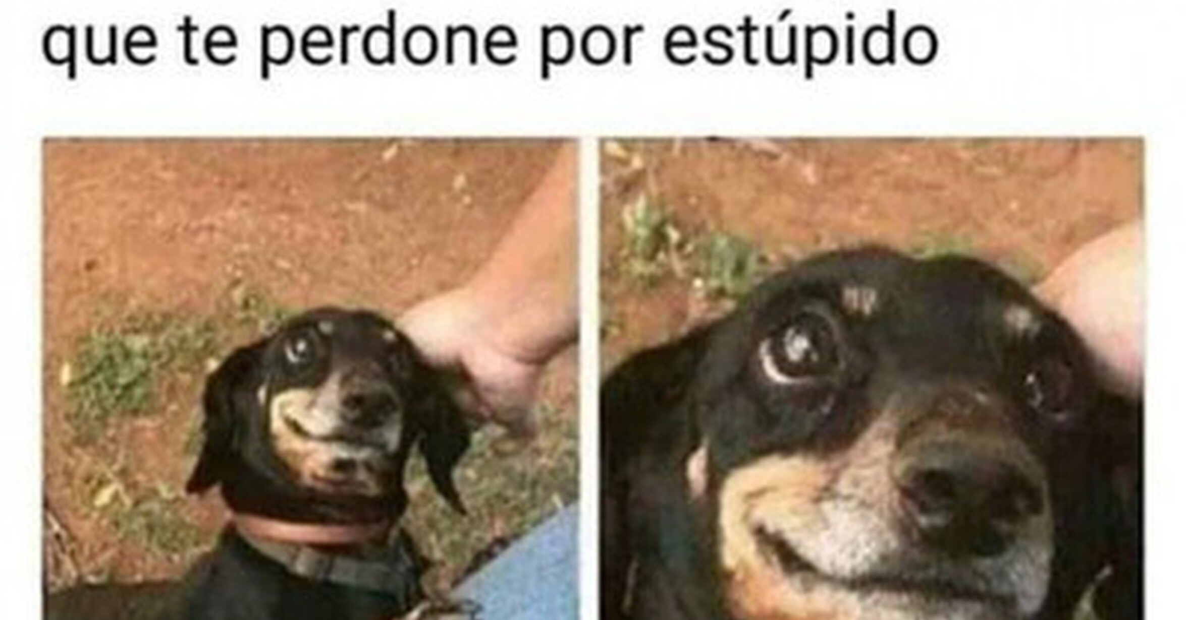 Cuánto cabrón / Meper donas?