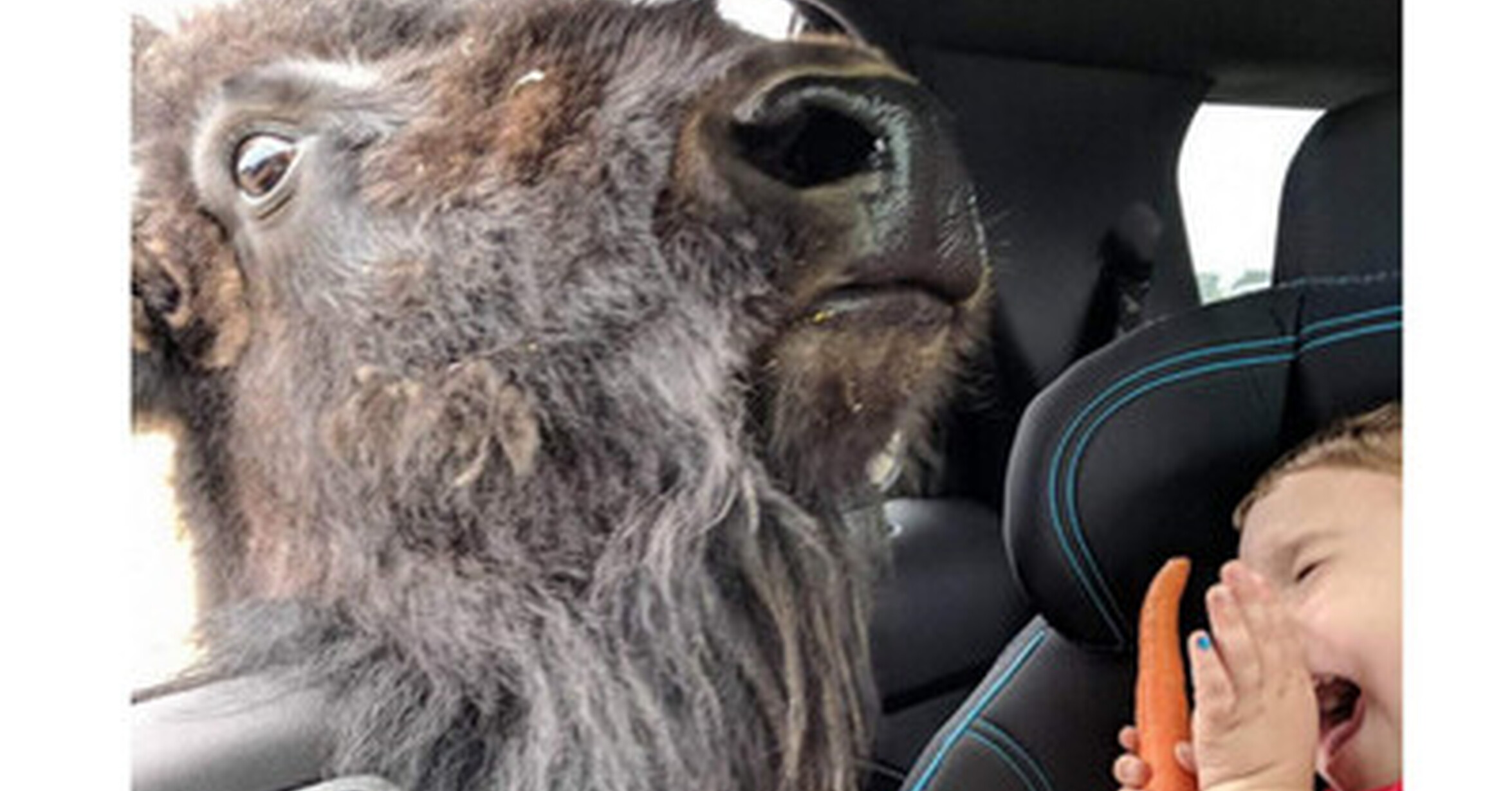 Cuánto cabrón / Personas que son la definición de tener un mal día