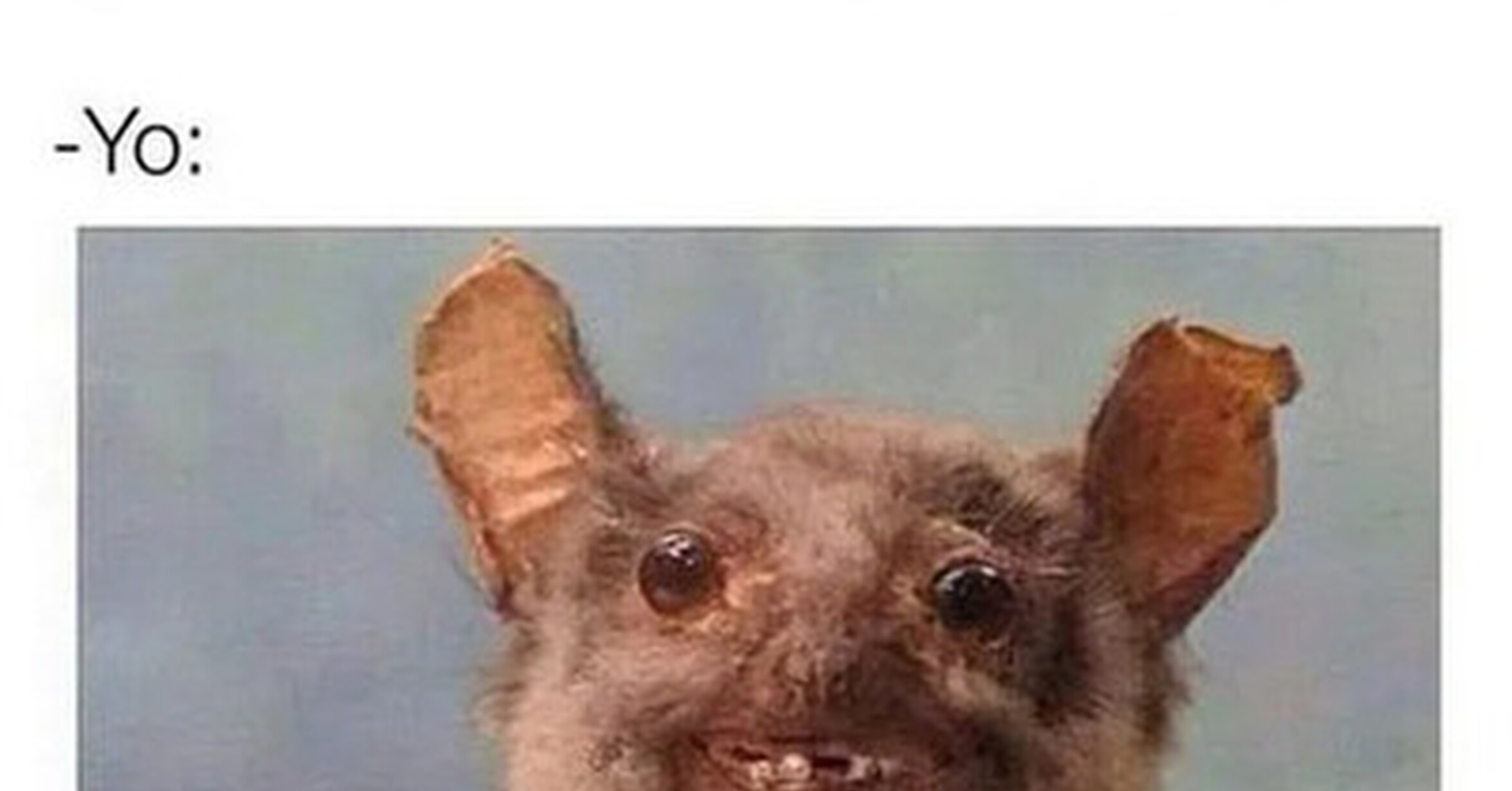 Memes De Los Feo