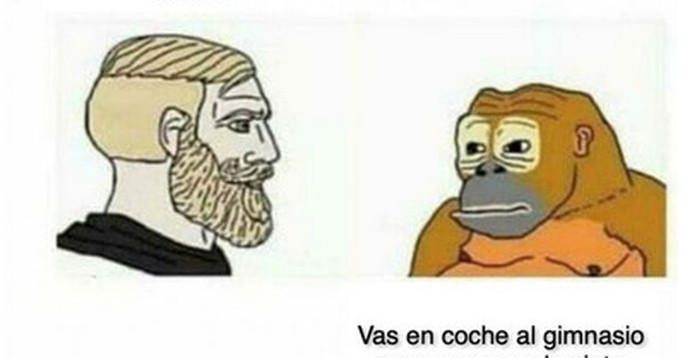 Cuánto cabrón / ¿Quién es el animal más tonto?