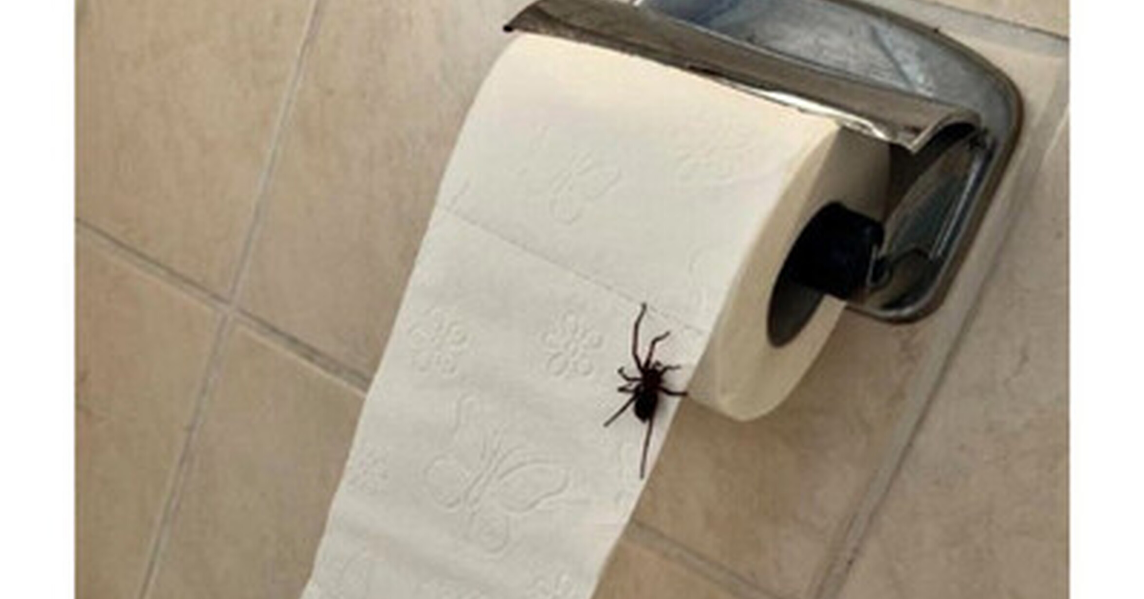 Cuánto cabrón / Personas que son la definición de tener un mal día