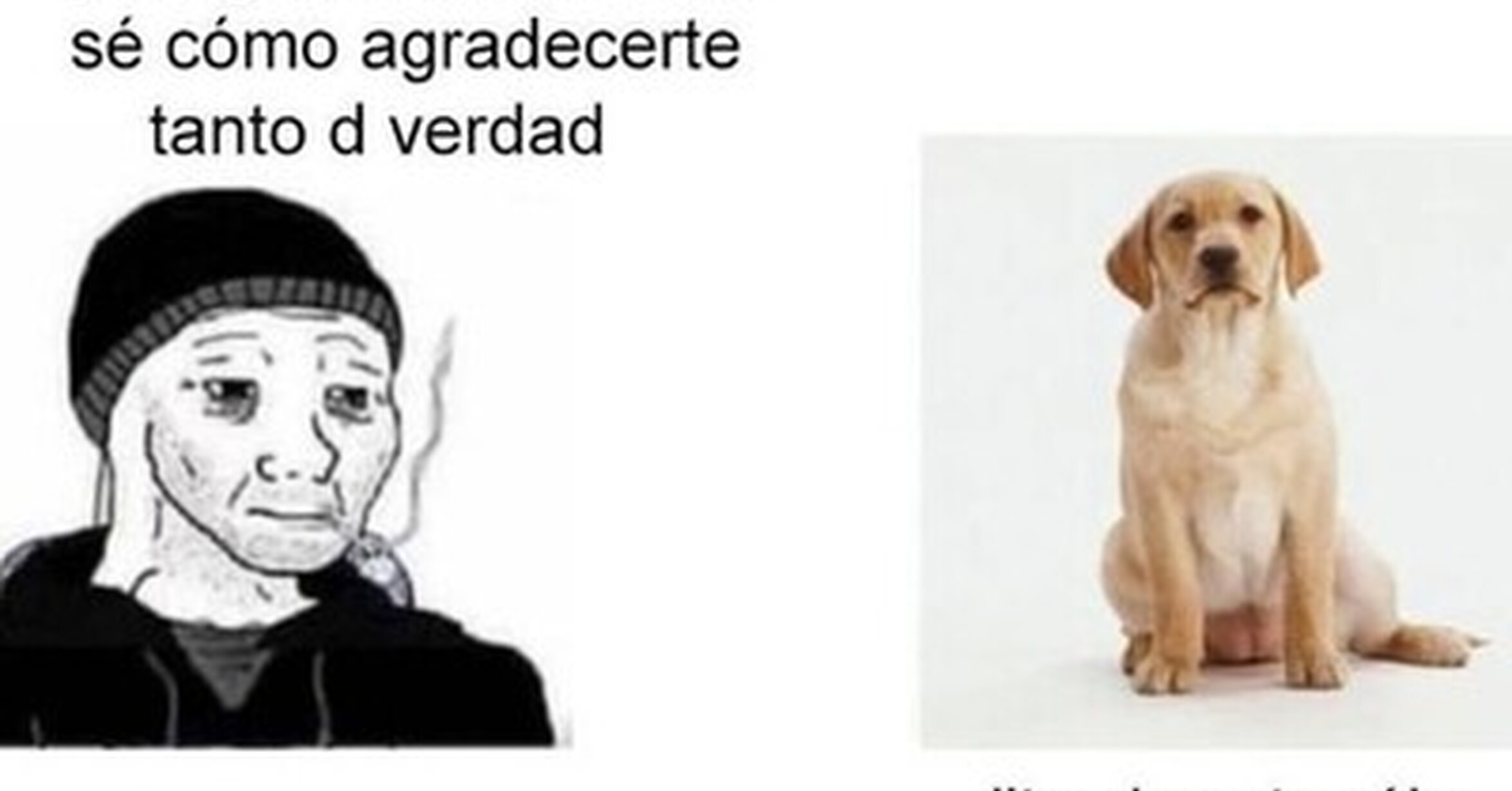 Cuánto cabrón / Su mera existencia es fundamental para mí