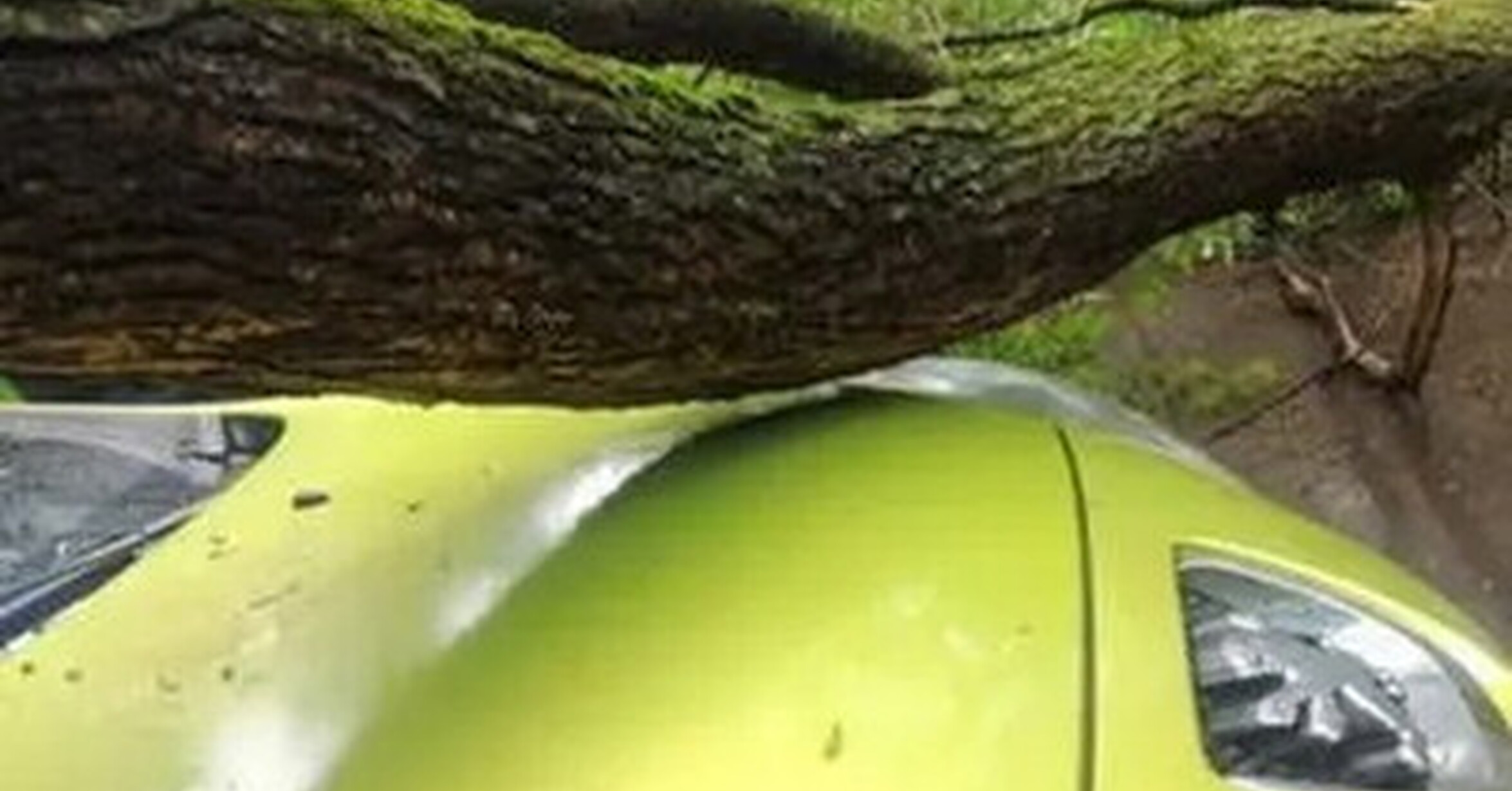 Cuánto cabrón / Define 'suertudo'