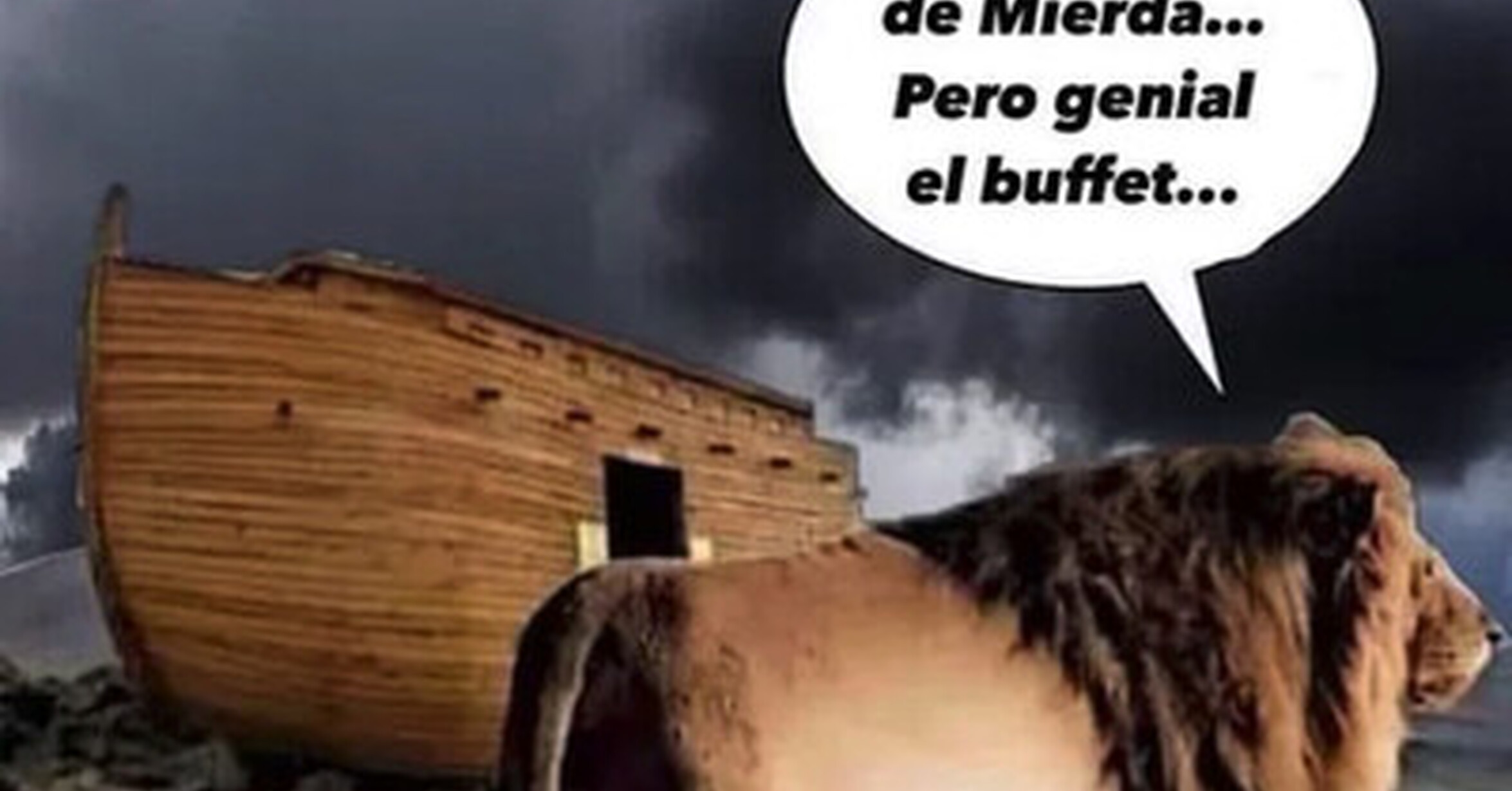 Memes El Arca De Noe Palabras D Dios Para Jóvenes.